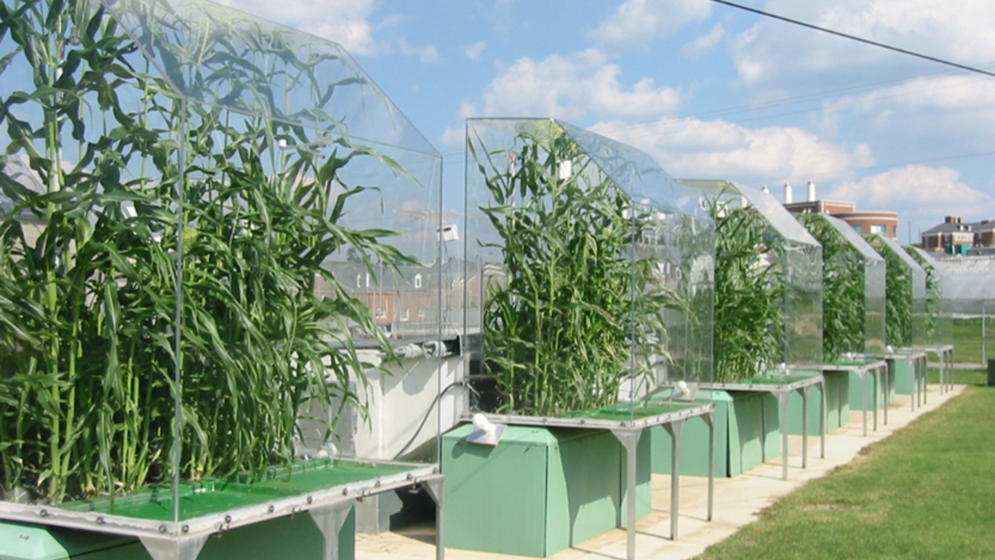 Workshop on Crop Simulation Models for Agricultural Systems Applications - Introducing the ...